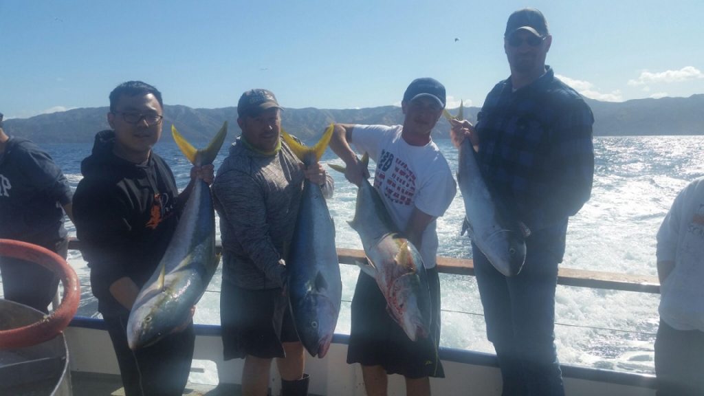 Singles De Santa Barbara Sportfishing Fish Count - Descargar Mp3